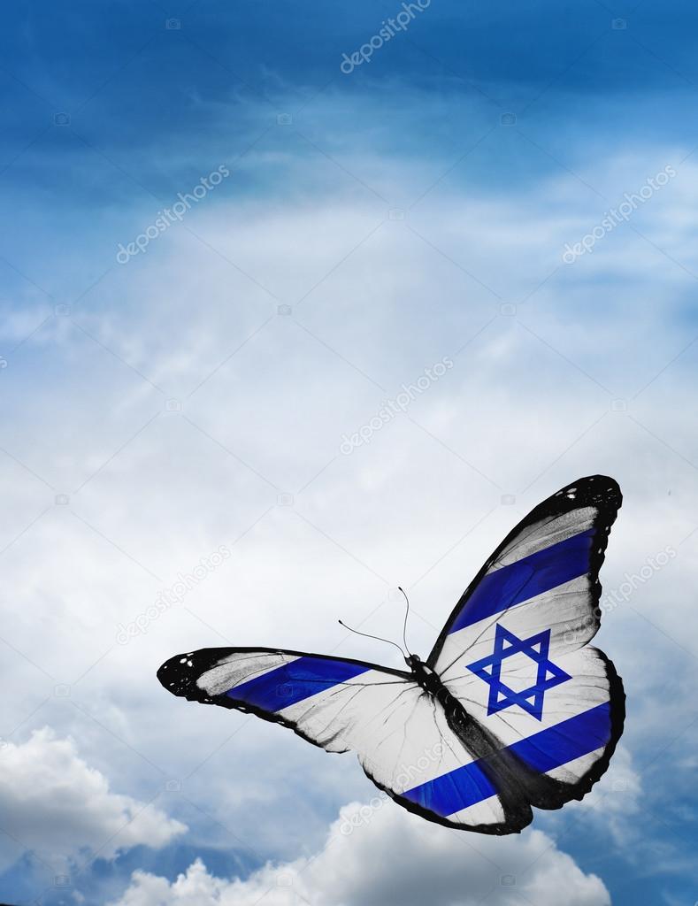 Israel flag butterfly flying Stock Photo by ©sun_tiger 57687179