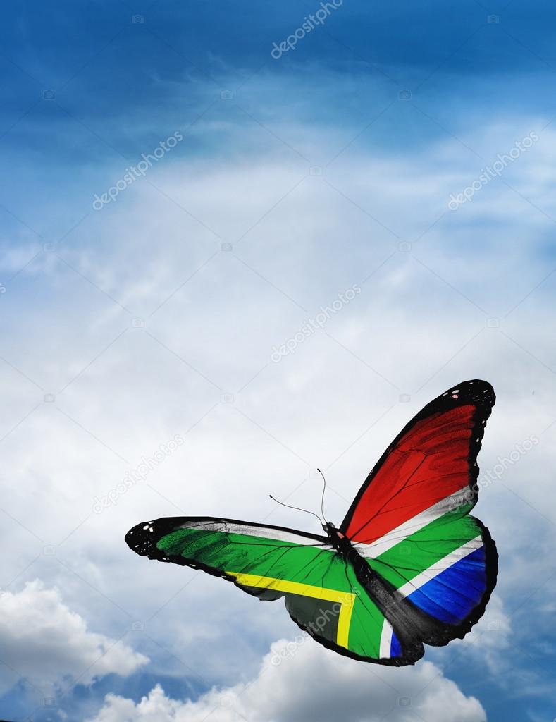 South Africa flag butterfly Stock Photo by ©sun_tiger 58075297
