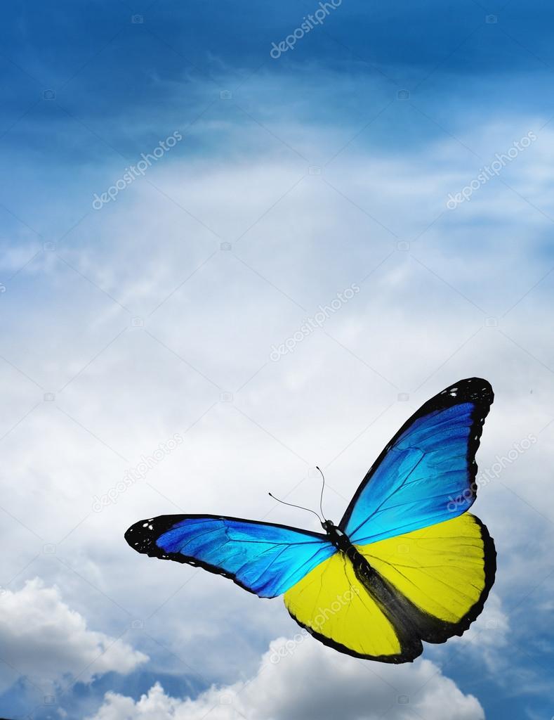 Yellow Butterfly Flying In The Sky