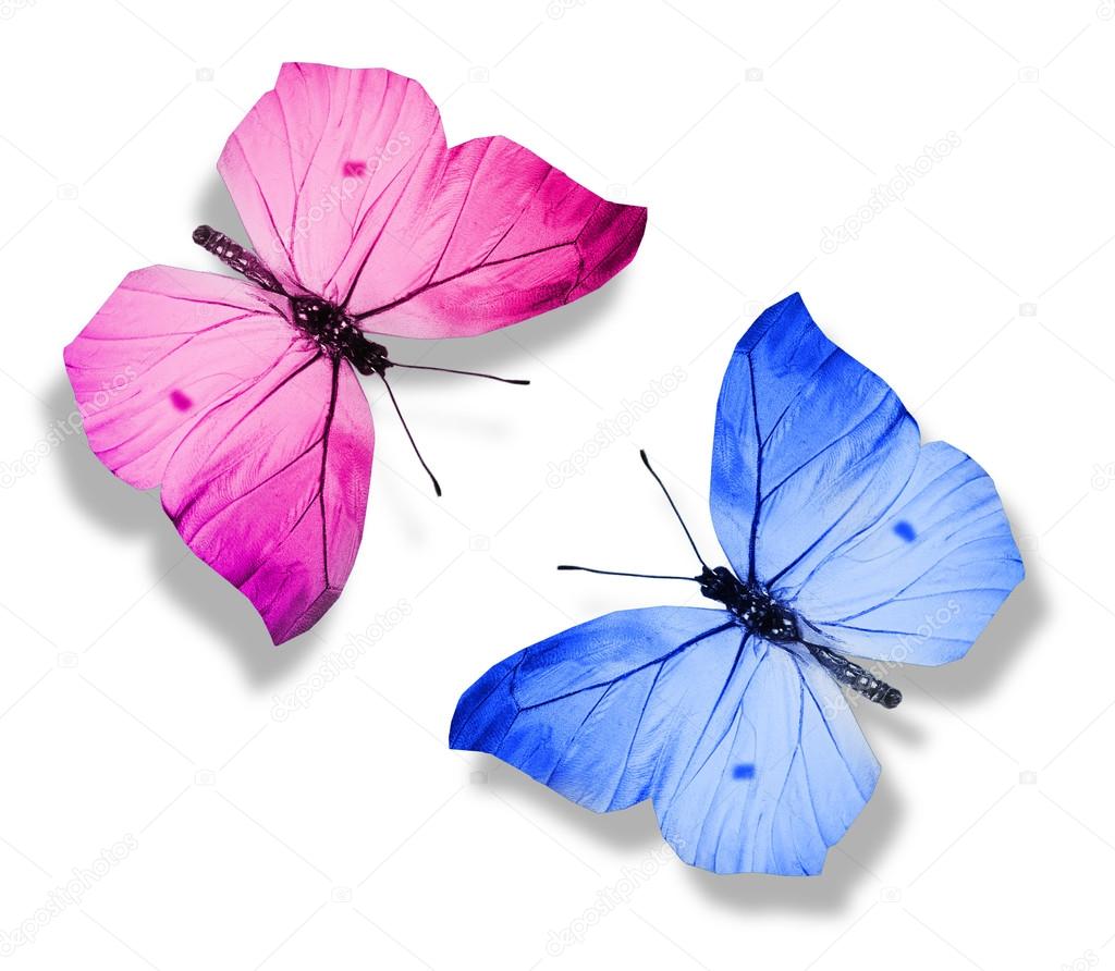 Pink And Blue Butterfly Background