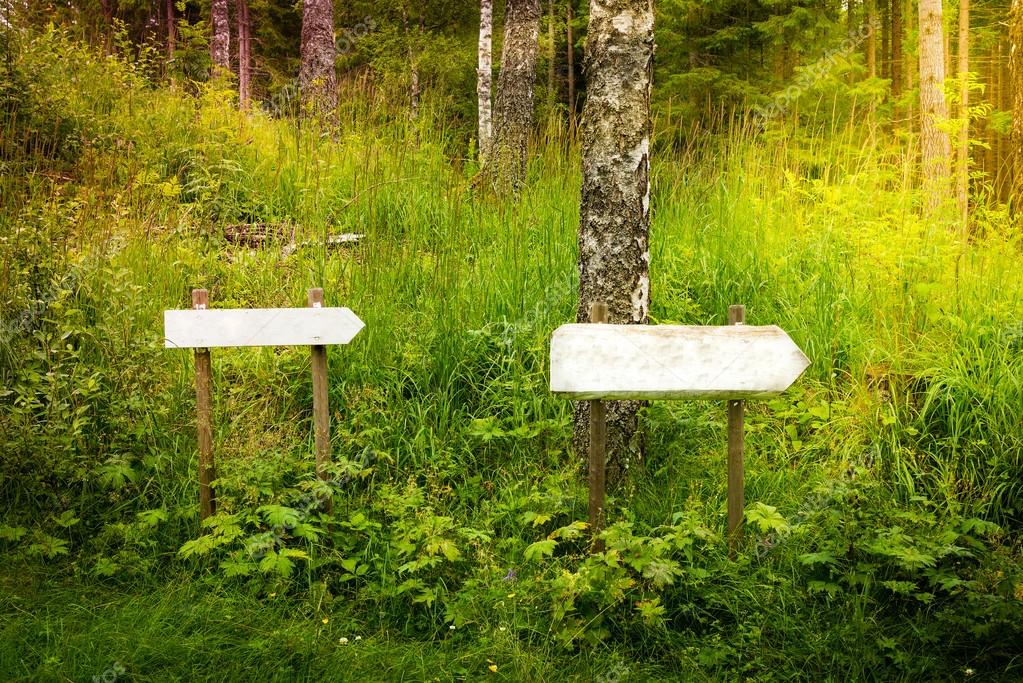 Two blank signs in the forest Stock Photo by ©karidesign 110845340