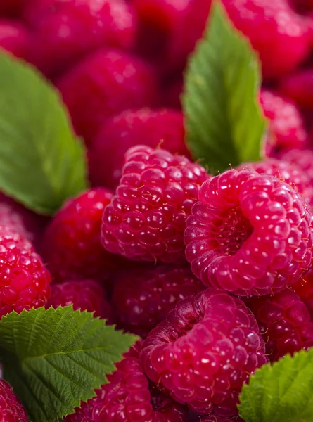 Raspberries in a food background Stock Photos, Royalty Free Raspberries ...