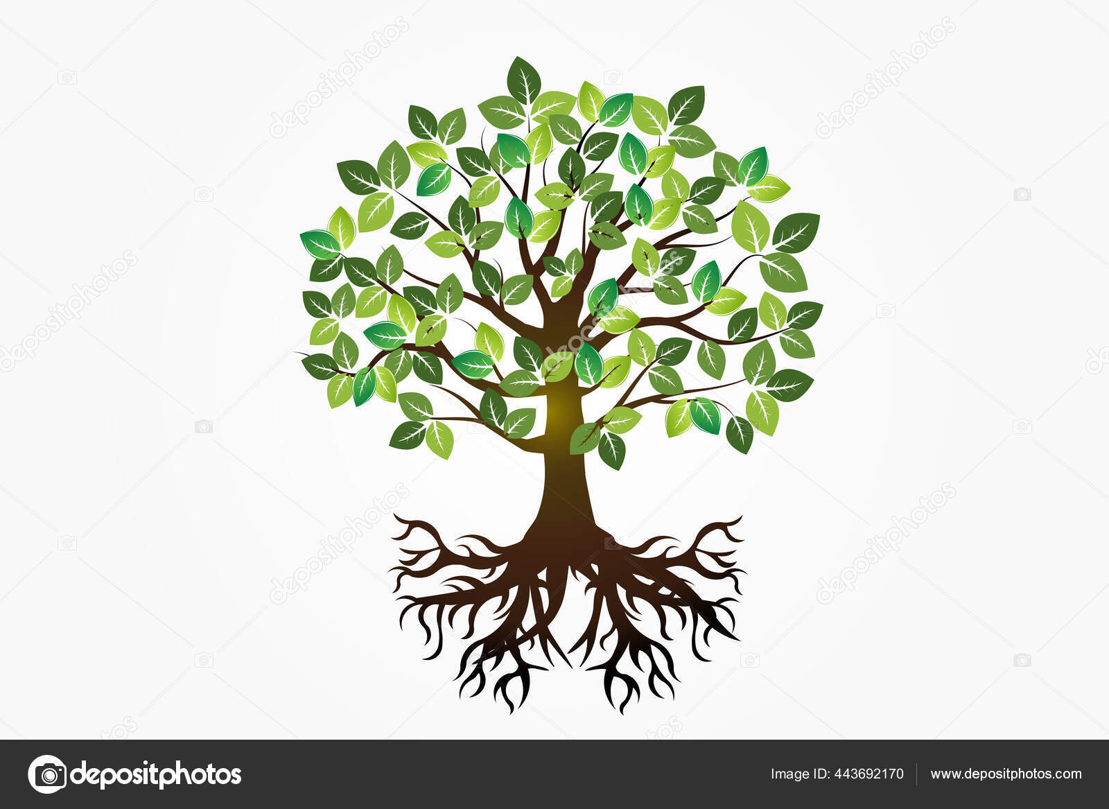 Logo Des Racines Des Arbres