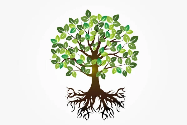 100,000 Family tree roots Vector Images | Depositphotos