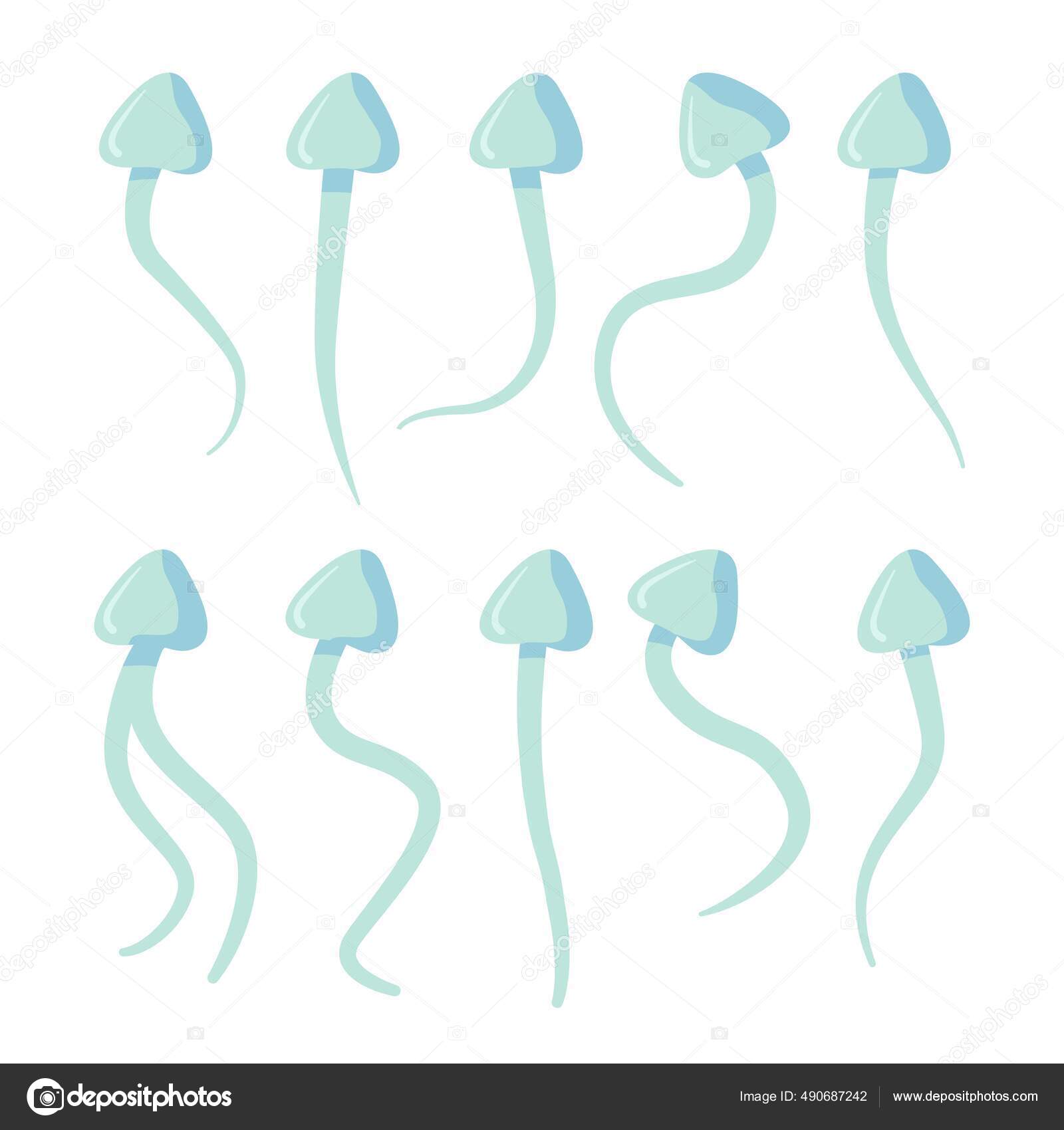 Blue Sperm Set Different Types Including Double Tailed Sperm Semen ...