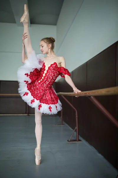 Young ballerina standing on one leg on your toes in pointe and d ...