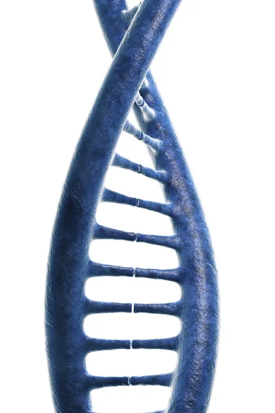 Dna question mark Stock Photos, Royalty Free Dna question mark Images ...