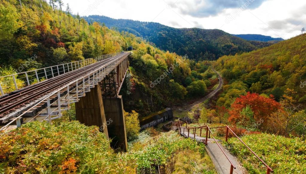 La antigua línea de ferrocarril Kholmsk - Yuzhno-Sakhalinsk. 2024