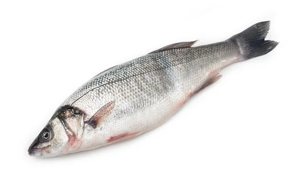 Лещ Stock Photos, Royalty Free Лещ Images | Depositphotos