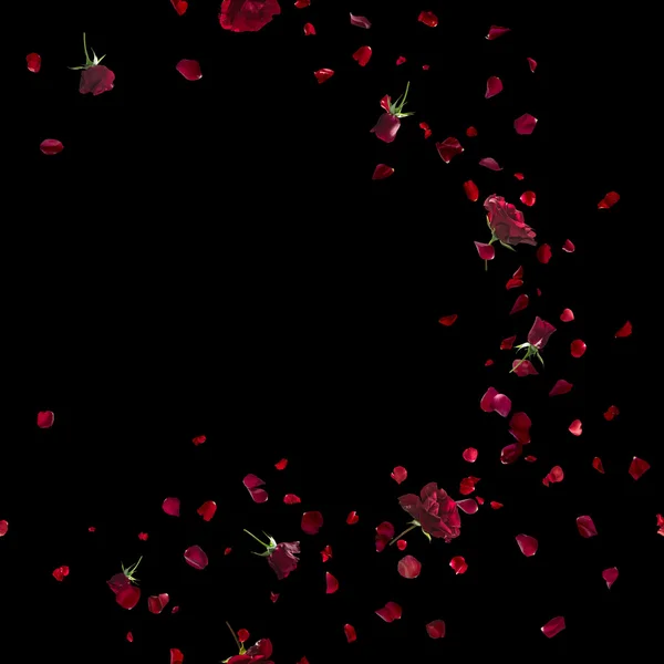 Dark Red Rose Petals Falling