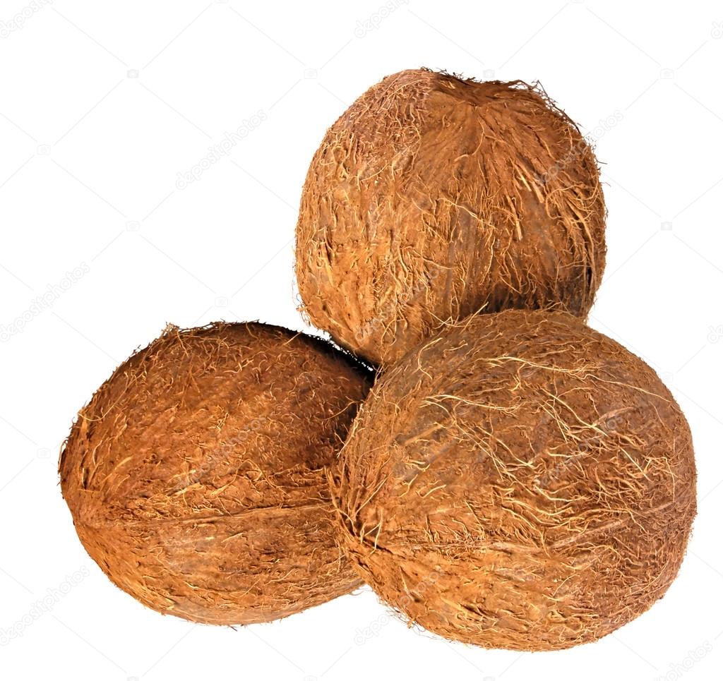 3 Coconuts Clipart