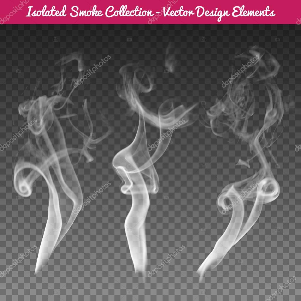 Cigar Smoke Vector