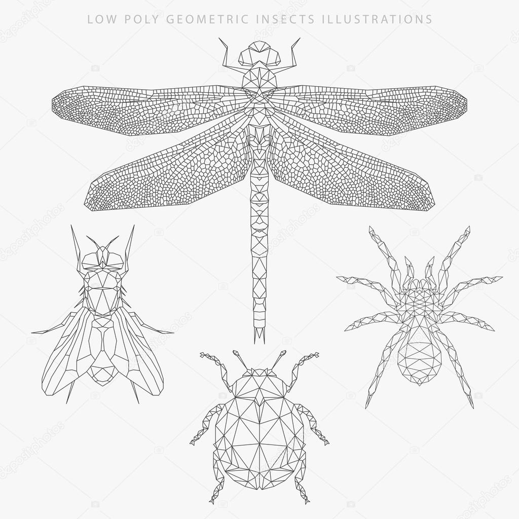 Insectos geométricos poli bajos Vector de stock #96505738 de ©archiwiz