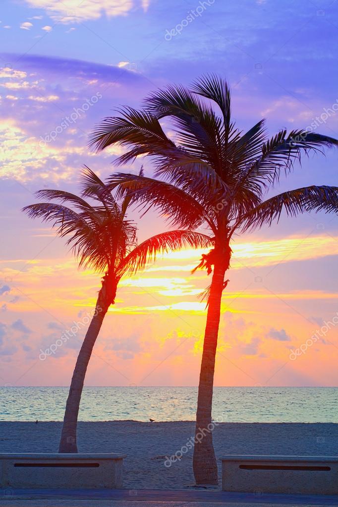 Miami Beach, Florida colorful summer sunrise or sunset with palm trees ...