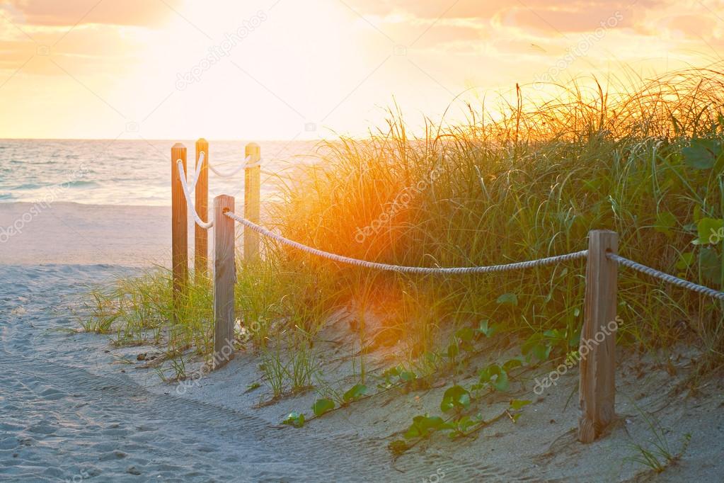 Miami Beach path to the ocean Stock Photo by ©fotoZapad 91661288