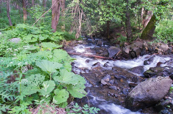 Groot river Stock Photos, Royalty Free Groot river Images | Depositphotos