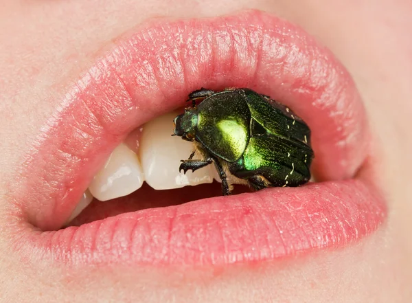 Bug in mouth — Stock Photo © MauMyHa #66117881
