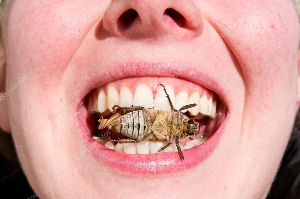 Bug in mouth Stock Photo by ©MauMyHa 66117877