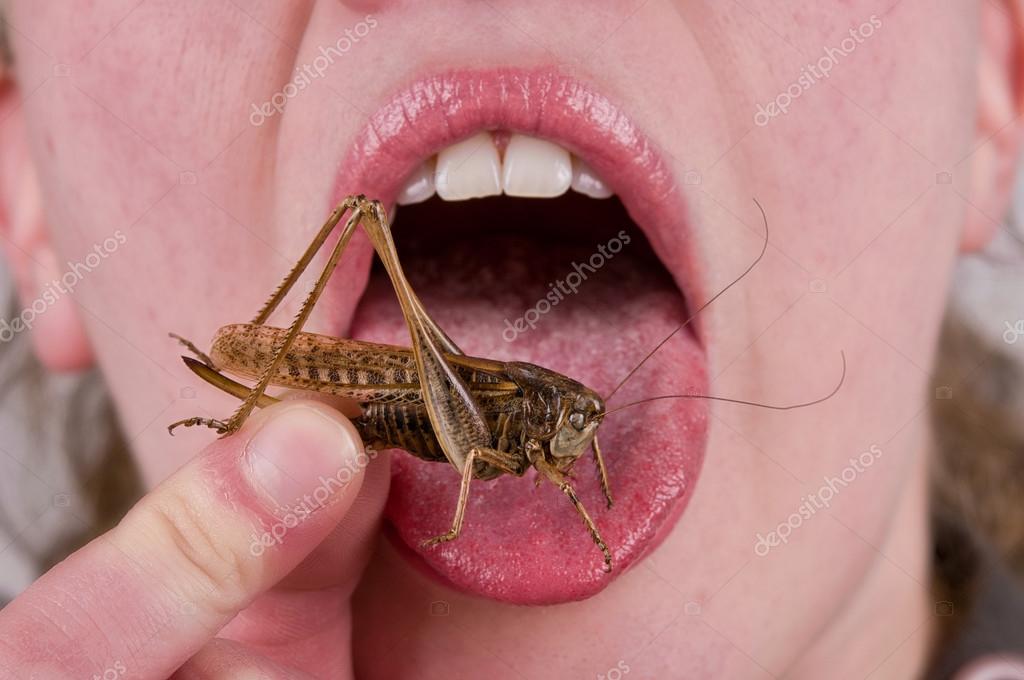 Bug in mouth — Stock Photo © MauMyHa #66117881