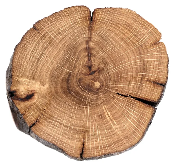 Cracked oak split with bark isolated Stock Photo by ©kingkonglive 95815788