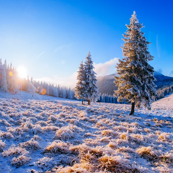 Beautiful december scenery Stock Photos, Royalty Free Beautiful ...