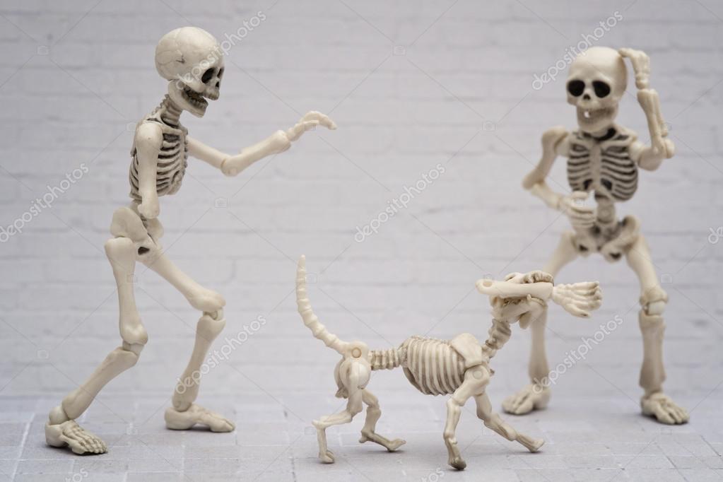 Dog Skeleton Sitting