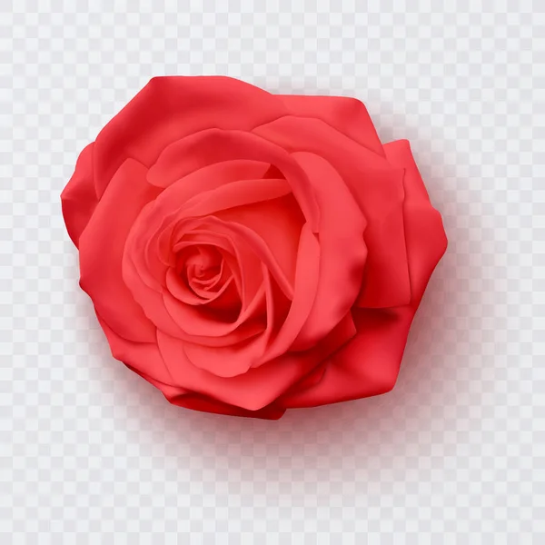 100,000 3d rose Vector Images | Depositphotos