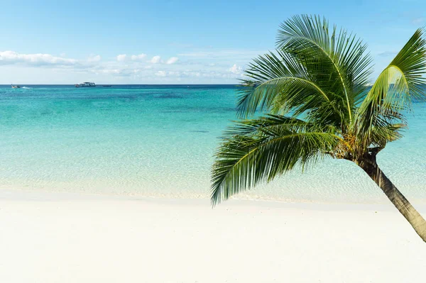 Hermosas palmeras en la playa de Pattaya, nublado en Koh Lipe, oeste ...