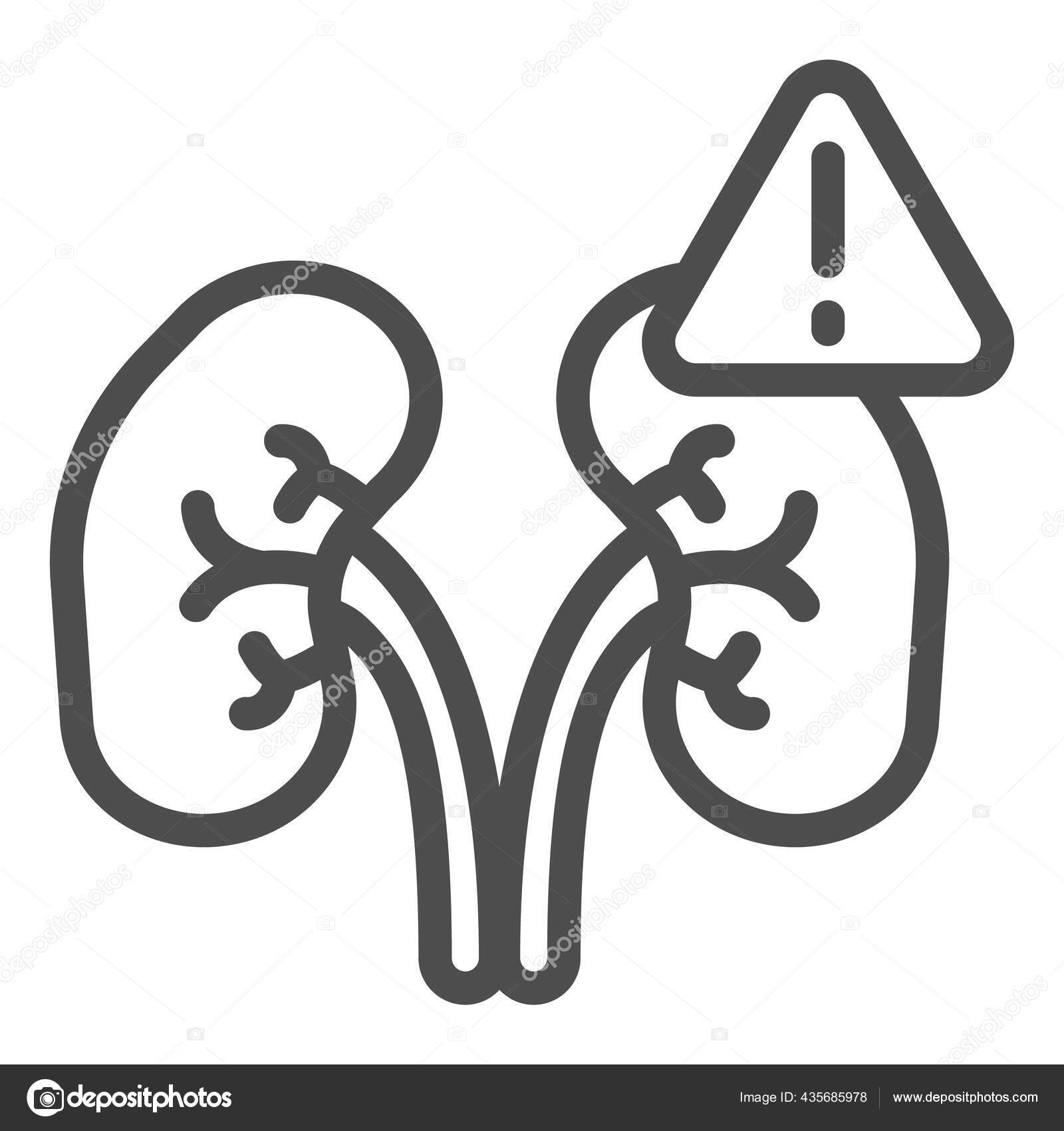 Exclamation point and kidney problems line icon, disability concept ...