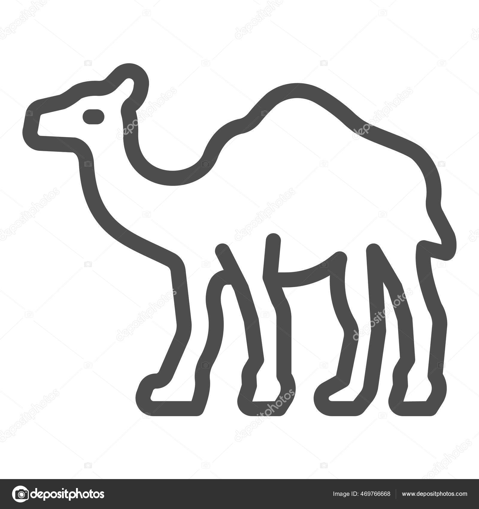 Icono de línea de camello, concepto de vida silvestre del mundo, signo ...