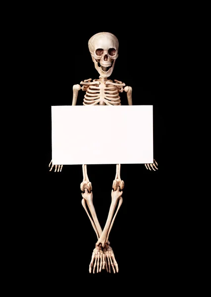 Skelton halloween Stock Photos, Royalty Free Skelton halloween Images ...
