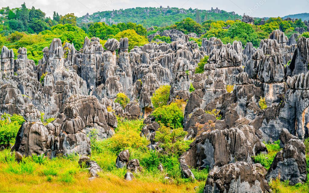 Espléndida vista panorámica del gran bosque de piedra Shilin con ...
