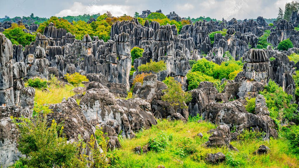 Vista panorámica del gran bosque de piedra Shilin con brillantes ...