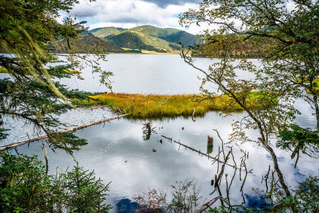 Vista al lago Shudu en medio de ramas de árboles en el parque nacional ...