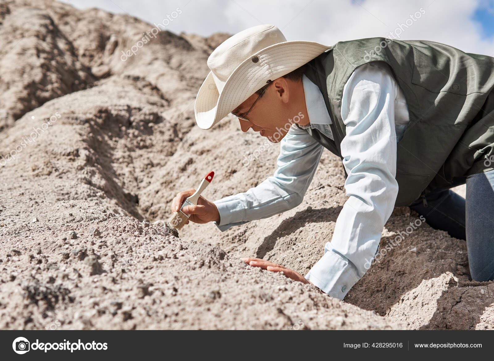 Paleontologist Brush