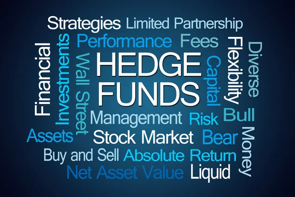 Hedge funds Stock Photos, Royalty Free Hedge funds Images | Depositphotos