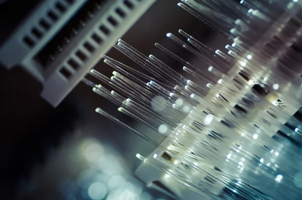 Fiber internet Stock Photos, Royalty Free Fiber internet Images ...