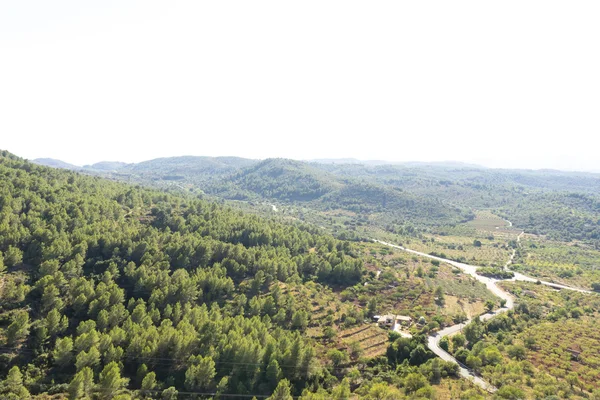 Forest hill view from castle Stock Photo by ©outsiderzone 117716128