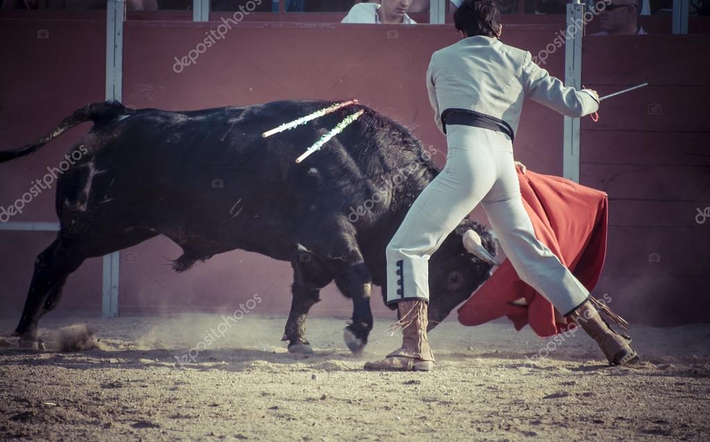 Fighting bull picture from Spain. — Stock Photo © outsiderzone #63765803