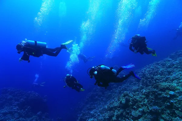 Divers Stock Photos, Royalty Free Divers Images | Depositphotos