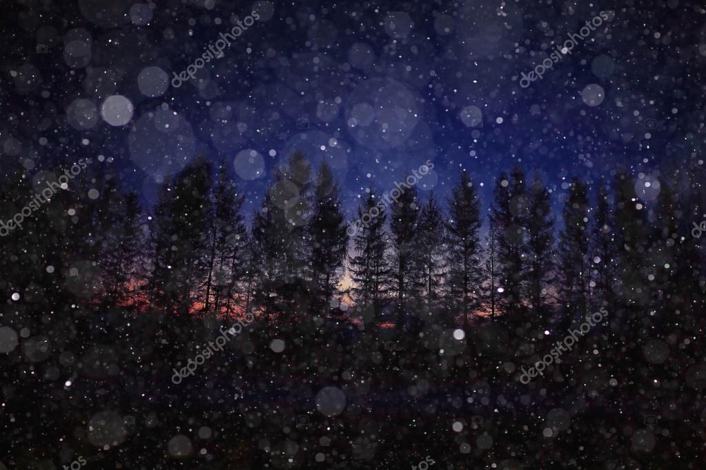 Night snowfall and trees Stock Photo by ©xload 114211192