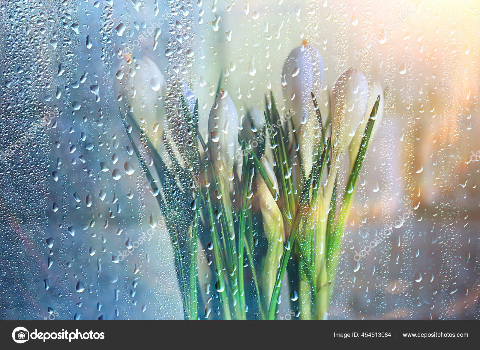 Spring Rain Wallpapers