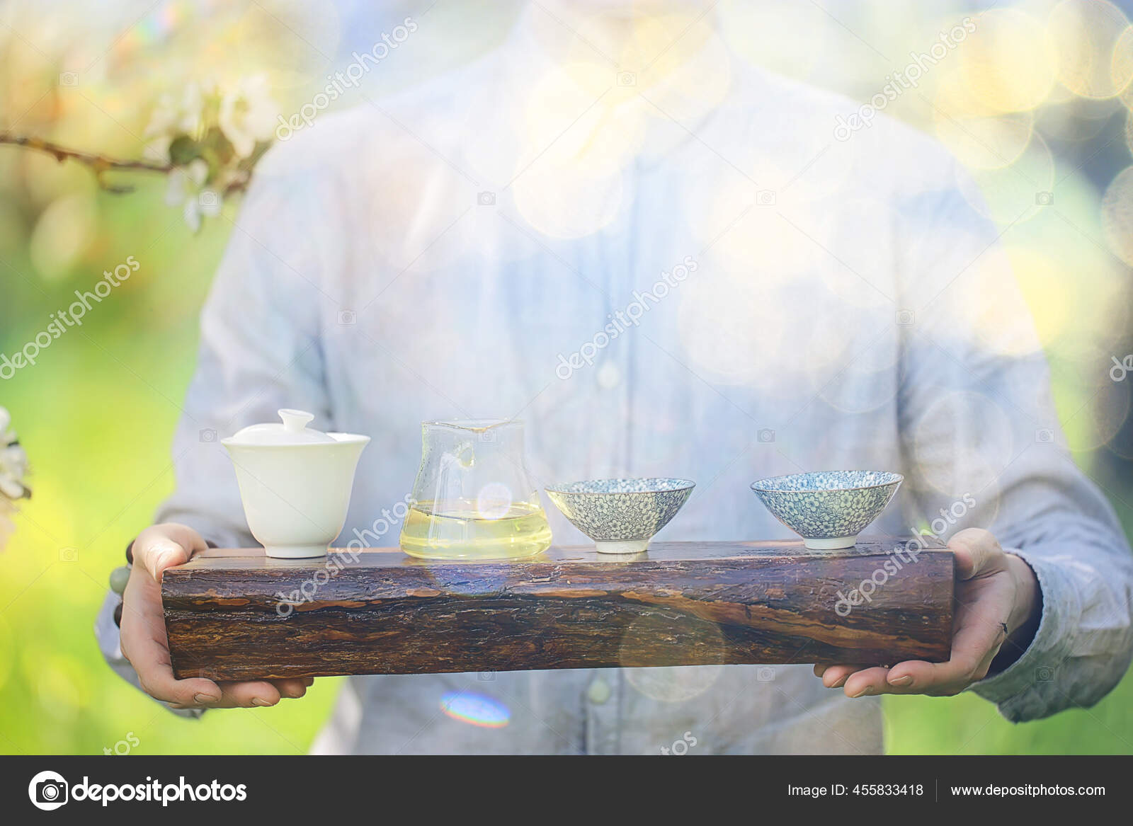 Japanese Tea Ceremony Spring Garden Aroma Cherry Blossom Sakura Asia ...