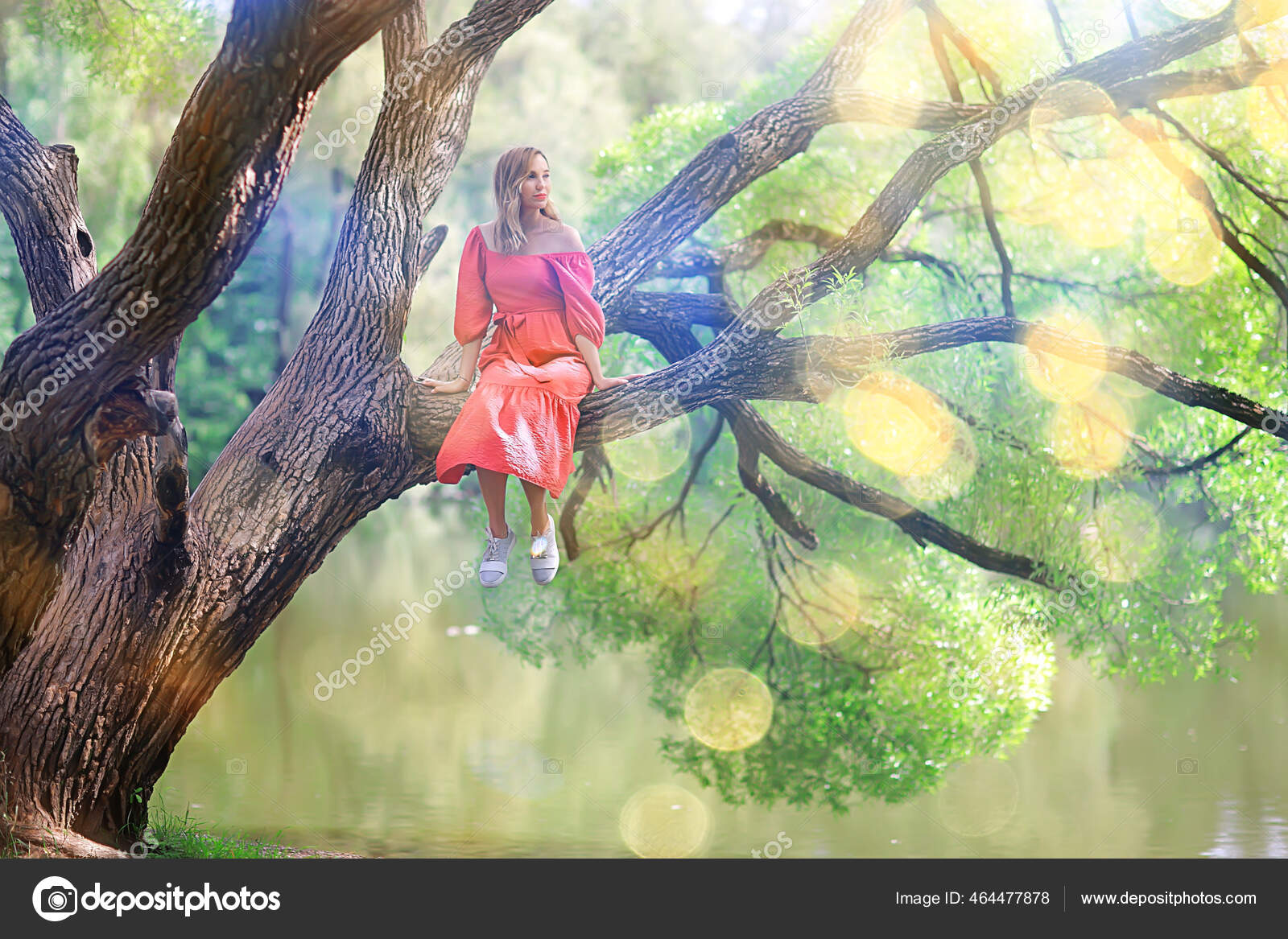 Springtime Dreaming Female Girl Sitting Tree Branch Spring Forest Park