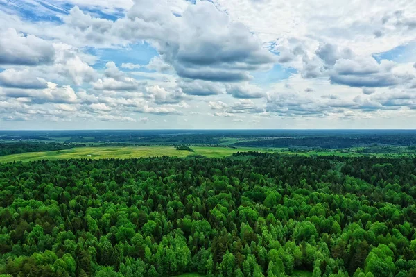 Forest top view Images - Search Images on Everypixel