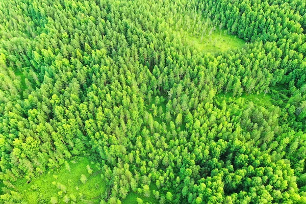 Forest top view Images - Search Images on Everypixel