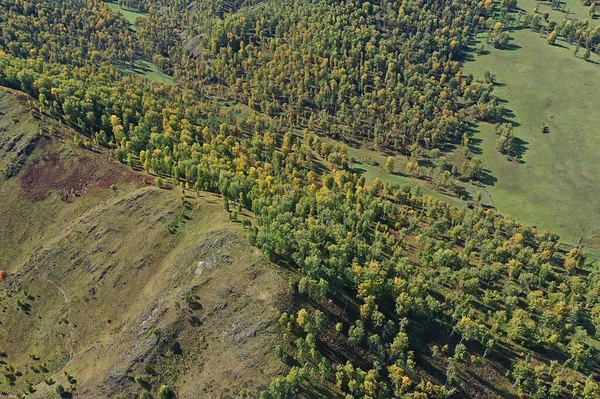 Forest top view Images - Search Images on Everypixel