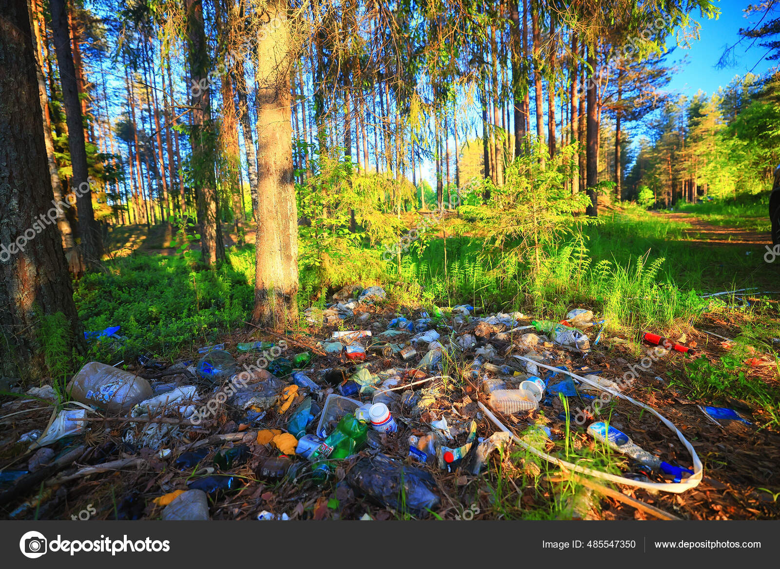 Bosque Basura Volcado Ecología Concepto Contaminación Protección ...