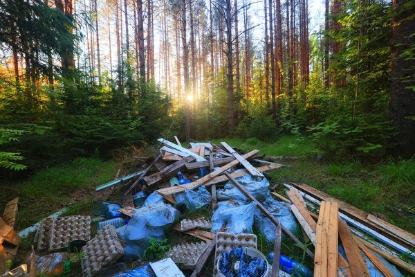 Bosque Basura Volcado Ecología Concepto Contaminación Protección ...