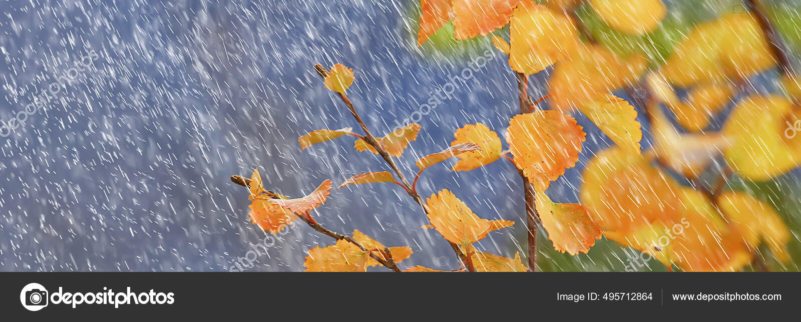 Abstract Background Fall Glass Drops Autumn Yellow Leaves Wet October ...